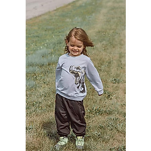 HINTINA Toddler Boy Sweatshirt Outfits Long Sleeve Dinosaur Top Pants Sweatsuit 2PCS Fall Winter Outfits Set(Light Grey, 7-8 Years)