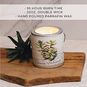 A CHEERFUL GIVER 95hr 20oz Scented Candle - Almond Butter - Multi-Wick Glass Candle - Gifts for Men and Women