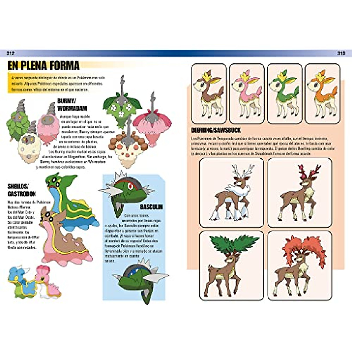 Guía visual del mundo Pokémon / Pokemon Visual Companion (COLECCIÓN POKÉMON) (Spanish Edition)