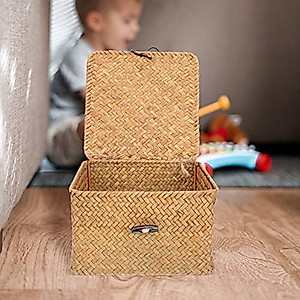Straw Storages Baskets With Lid: Handwoven Wicker Storage Bins Square Household Organizer Boxes Shelf Wardrobe Organizer Case for Desktop Home Decoration