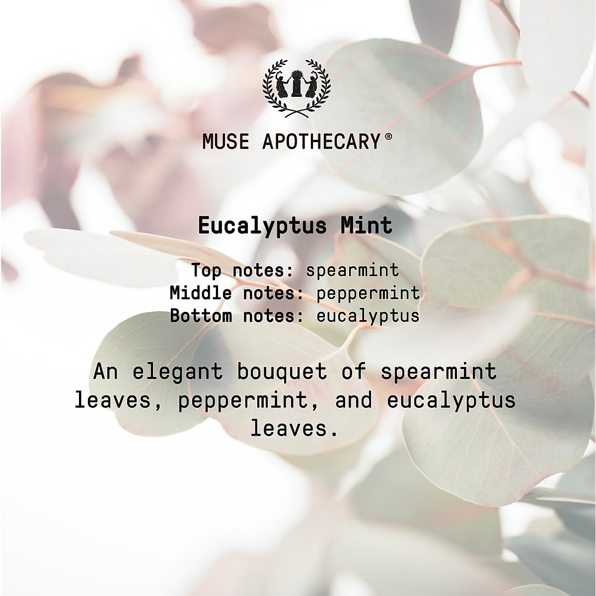 Muse Apothecary Yoga Ritual - Aromatic and Refreshing Yoga Mat Cleaner, 8 oz, Infused with Natural Essential Oils - Eucalyptus Mint, 2 Pack