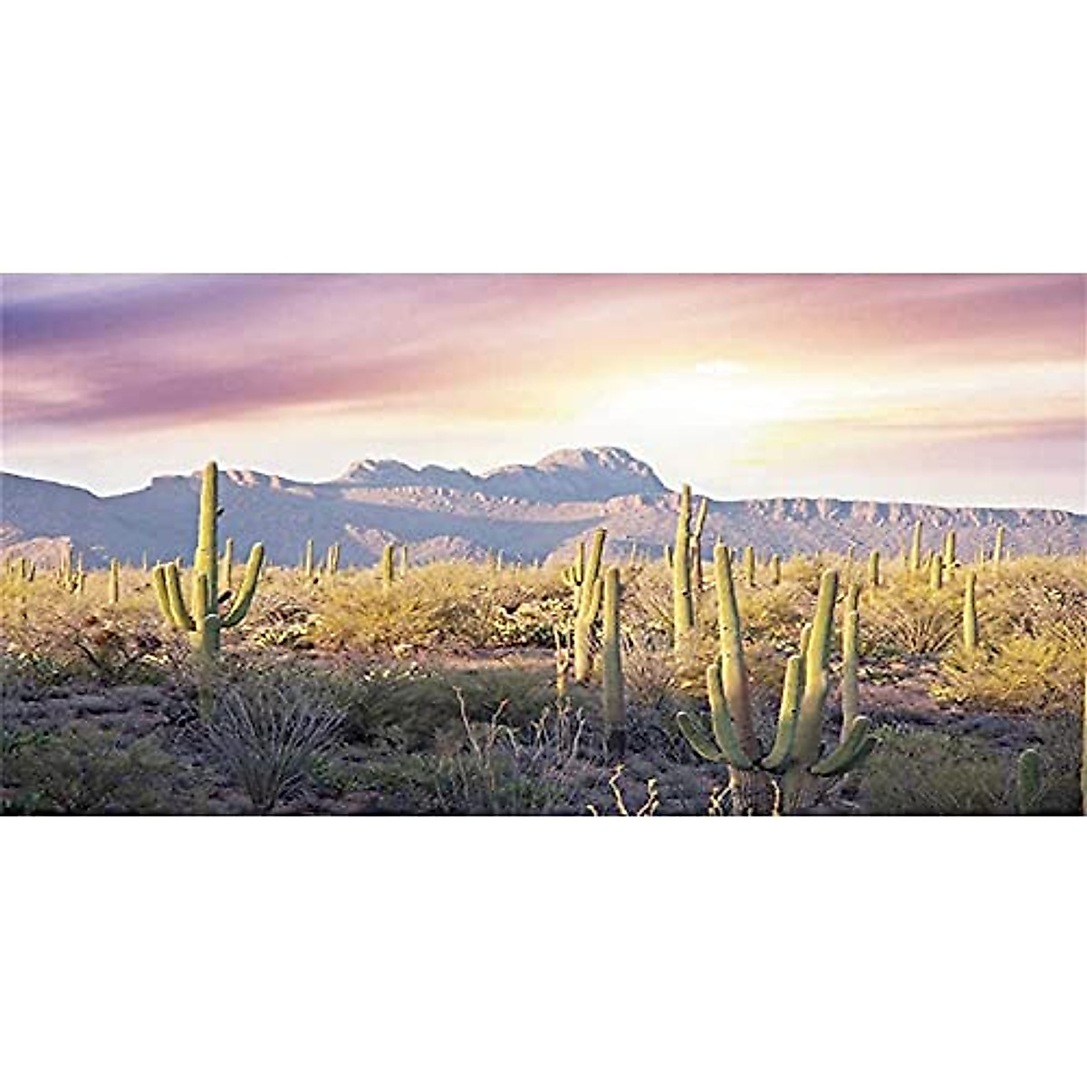 AWERT Reptile Habitat Background Blue Sky Oasis Mountain Cactus Sun and Desert Terrarium Background 36x18 inches