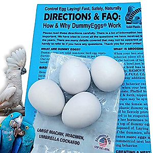 DummyEggs 4 Large Parrot Dummy Eggs Control Breeding & Laying! Realistic Macaw, Hyacinth, Cockatoo. Solid Non-Toxic Premium Plastic Fake Bird Eggs. 1-7/8" x 1-1/2" (4.8 x 3.8cm) USA