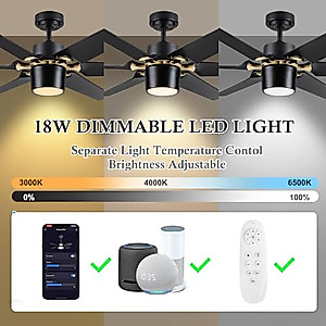 POCHFAN 60 inch Black Ceiling Fans with Lights and Remote, Modern Smart Ceiling Fan Compatible with Alexa, Google Home & Smart APP, Reversible Dimmable DC Ceiling Fan for Indoor or Covered Outdoor