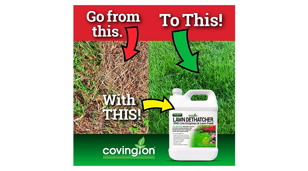 Covington Liquid Lawn Dethatcher - Safe Aerator & Thatch Remover