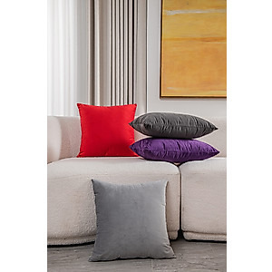 DEZENE Decorative Pillow Cases 20x20 Light-Grey: 2 Pack Cozy Soft Velvet Square Throw Pillow Covers for Farmhouse Home Decor