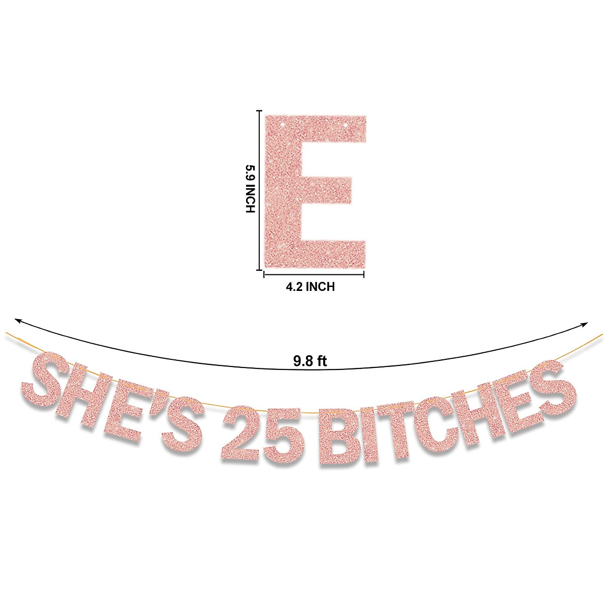 Ushinemi She's 25 Bitches Banner 25th Birthday Decorations for Women, Funny Glitter Rose Gold Birthday Banner 18 Birthday Party Supplies