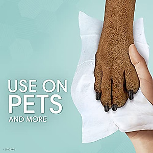 Baby Wipes, Pampers Expressisons Botanical Rain Scented, 1X Pop-Top Pack, 56 Count