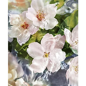 Guerlain Aqua Allegoria Flora Cherrysia Eau de Toilette Spray for Women, 4.2 Ounce