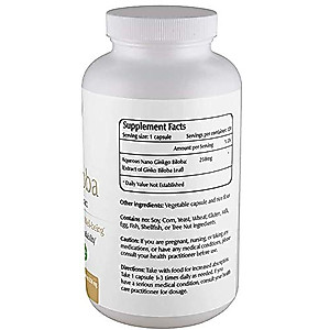 One Planet Nutrition Nano Ginkgo biloba 250 mg Veggie Capsules (120 Servings), Ginkgo biloba Extract, Nano for Higher Absorption, Improves Cognitive Function & Circulation, Non-GMO, Vegan, Gluten Free