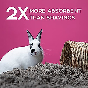 carefresh 99% Dust-Free Natural Paper Small Pet Bedding with Odor Control, 30 L