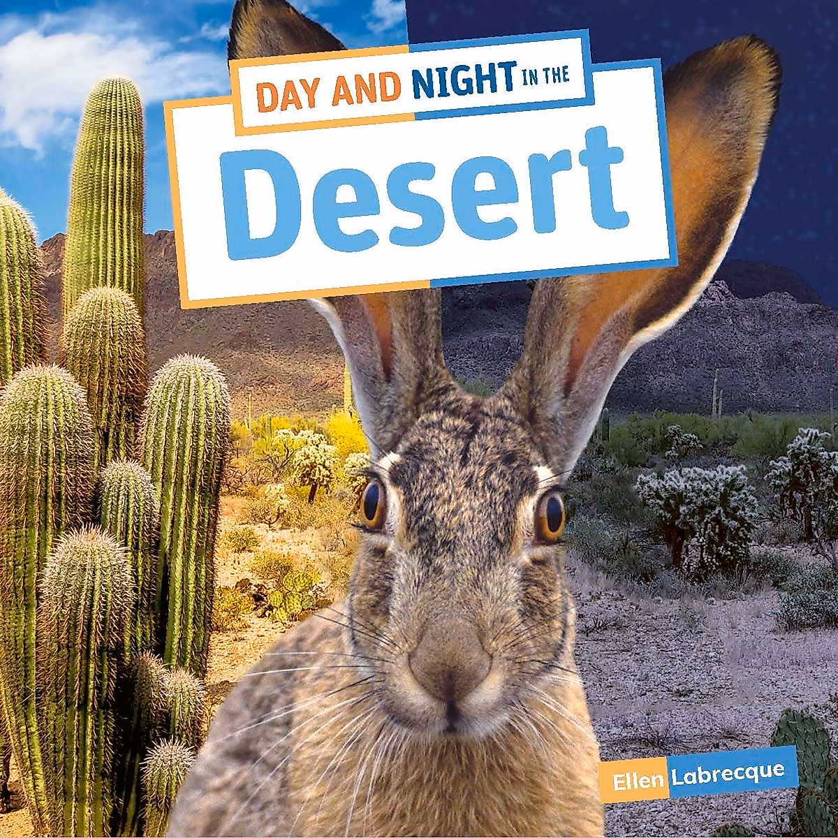 Day and Night in the Desert (Habitat Days and Nights)