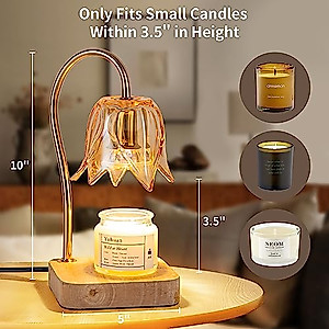 Candle Warmer Lamp with Timer, Dimmable Candle Lamp Warmer with 2 Wax Warmer Bulbs, Candle Warming Lamp for Jar Candles & Wax Melt, Cozy Candle Warmer Light for Home Decor, Birthday Gifts for Women.