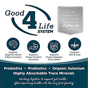 NutriSource Adult Chicken & Rice Small Bites Dog Food 5lb