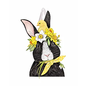 Studio M Door Decor Springtime Friends Decorative Front Door Sign with Handmade Hanger, Durable Fade Resistant PVC, Made in the USA, 13.25"w x 19.75"h
