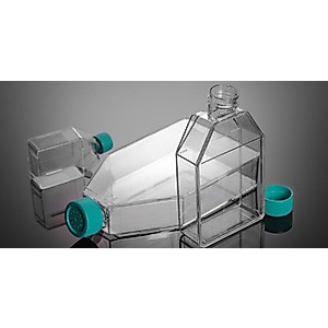 Sterilized Cell Culture Flasks - 250ml, 75cm2, Vent Cap, 5/pk