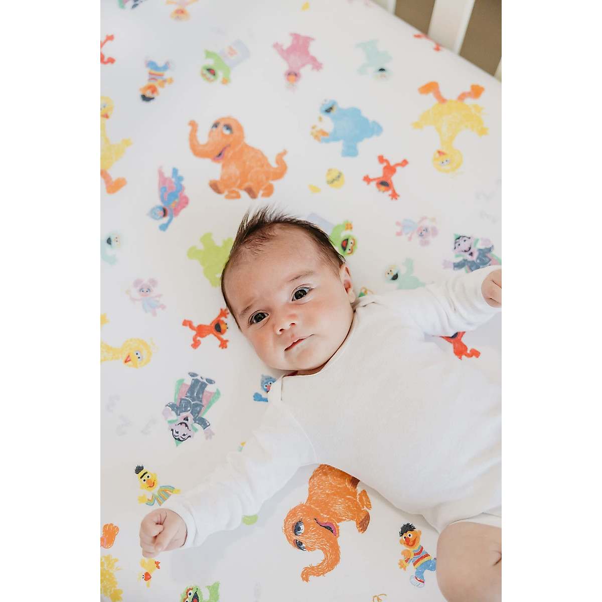 Premium Knit Baby Crib Sheets for Boys and Girls by Copper Pearl: Breathable and Soft, Fitted Crib Sheets for Standard Baby Mattresses, Crib Sheet for Baby Registry or Shower Gift, Sesame Friends