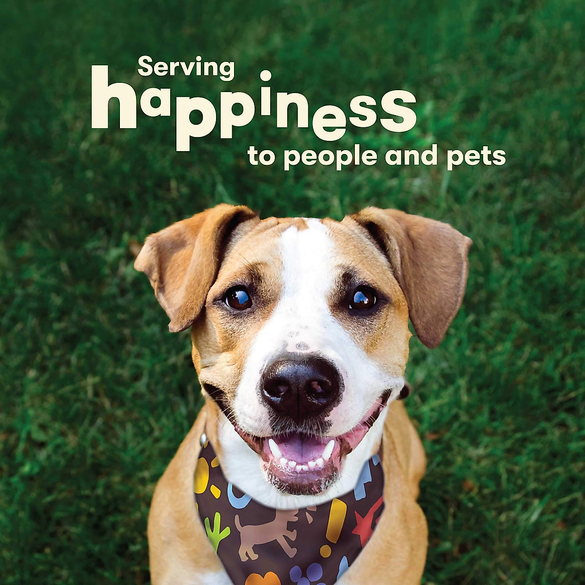 Pet 'n Shape Long Lasting Chewz Dog Treats - Chicken Wrapped Rawhide - 3 Bones, 6-Inch Long