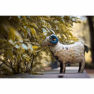 De Kulture Handcrafted Recycled Iron Sheep Decorative Collectible Figurine Showpiece Beautify Home Office Christmas Party Décor Ideal for Garden Balcony Terrace Decoration 12x2x9 (LWH) Inches