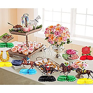 9 Pieces Kentucky Derby Honeycomb Table Centerpieces, Talk Derby to Me Run for the Roses for Horse Racing Birthday Party Supplies Derby Day Home Decor