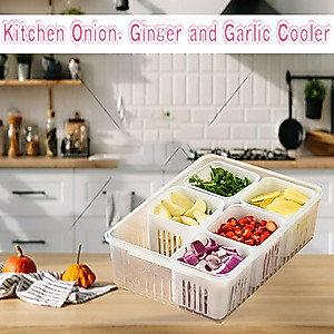 Rxsdeni Salad Bar Containers for Fridge,Reusable Kitchen Scallion Storage Box,Fresh Keep Container,Clear Berry Containers with Removable Dividers,for Ginger Scallion Fruit Lettuce Vegetables Meat