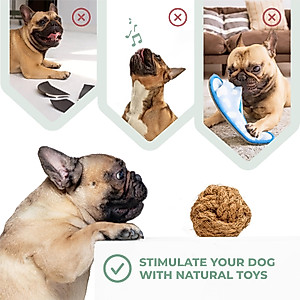 Alfred & Beebee Eco-Friendly Coffee Wood Dog Chew Toy Pack - for Regular Chewers - Dog Dental Chew