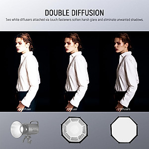 NEEWER 22"/55cm Octagonal Softbox, Quick Release Bowens Mount Softbox with Honeycomb Grid, Light Diffusers, Bag for RGB CB60 CB60B CB200B MS60B MS60C MS150B S101-300W/400W Pro Vision 4 Q4, NS22P