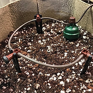 Blumat 50 Distributor Drippers with 10 End Pieces to Attach to Watering System Parts | Water Evenly Garden, Balcony Plants (50 Pieces, 10 End Pieces)