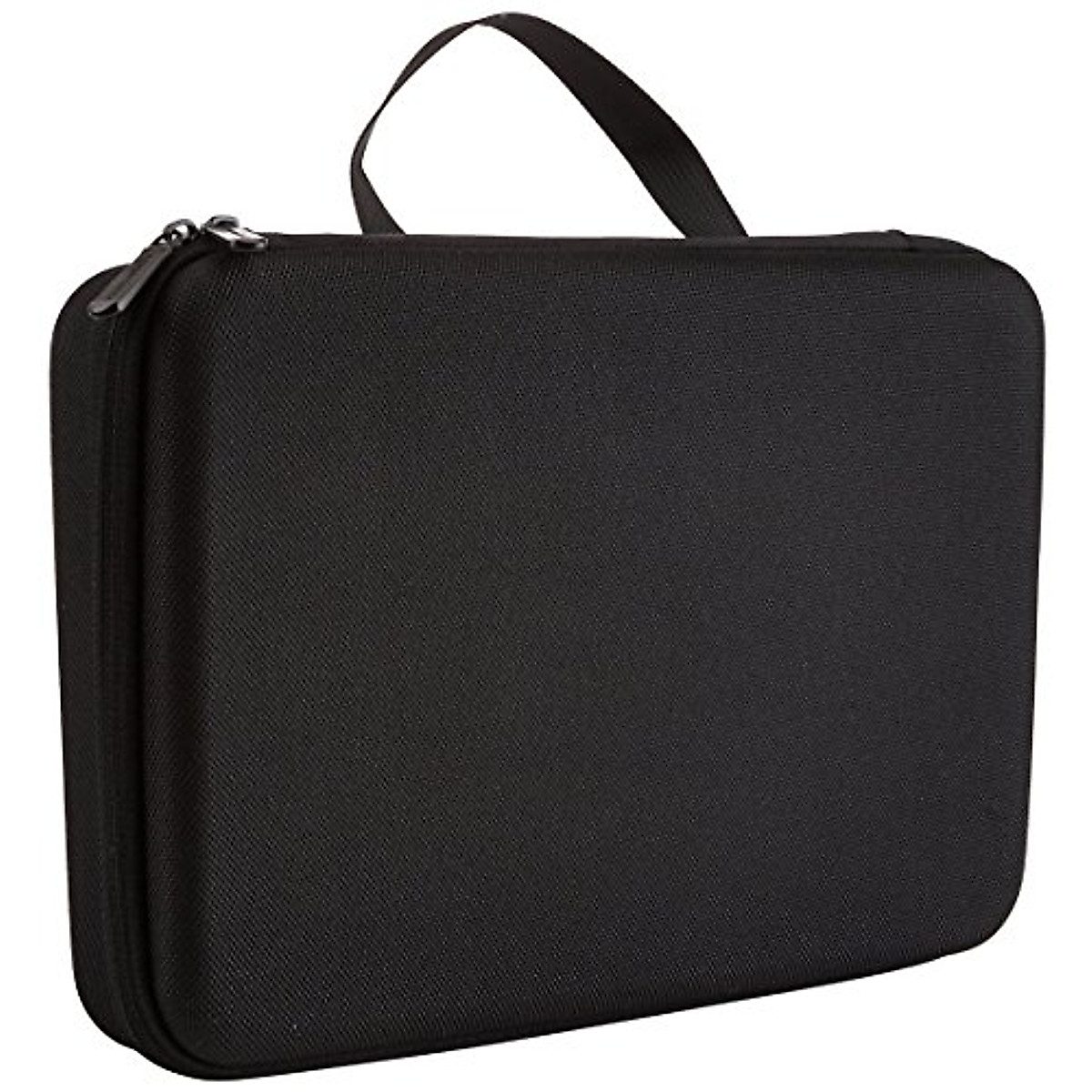 Amazon Basics Large Carrying Case for GoPro And Accessories - 13 x 9 x 2.5 Inches, Black