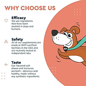 WONDER PAWS Skin + Coat Chews Plus Omega Max Fish Oil - for Dog Joint Health, Skin and Coat Care, & Immune System Support - Skin + Coat 70 Chews - Omega Max 16 Ounces