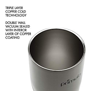 Primula Avalanche Double Walled Vacuum Sealed Thermal Insulated Tumbler Stays Cold or Hot All Day Long, Reusable Thermos, 1 Count (Pack of 1), Brushed Stainless Steel
