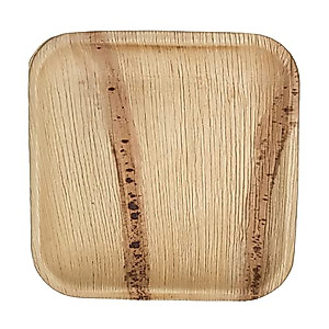 Dtocs Palm Leaf Plates Pack 50, 7 Inch Square | Eco-friendly, Compostable, Natural, Biobased, Organic Disposable Party Plates For Wedding, Camping, Birthday Dinner | Better Than Bamboo, Paper Plates.