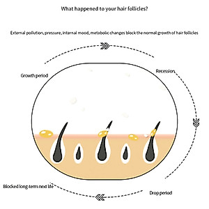 Hotiary Caffeine Hair Growth Shampoo, Hair Loss Treatment Shampoo Strenthen Hair Root Promote Hair Regrowth Thickness Activate Scalp 6.76 fl oz