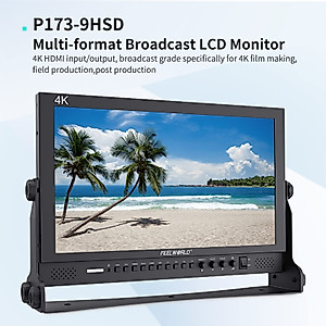 FEELWORLD P173-9HSD 17.3 Inch Design 1920x1080 Desktop Monitor for Broadcast LCD Monitoring with 3G SDI HDMI YPbPr Input Output