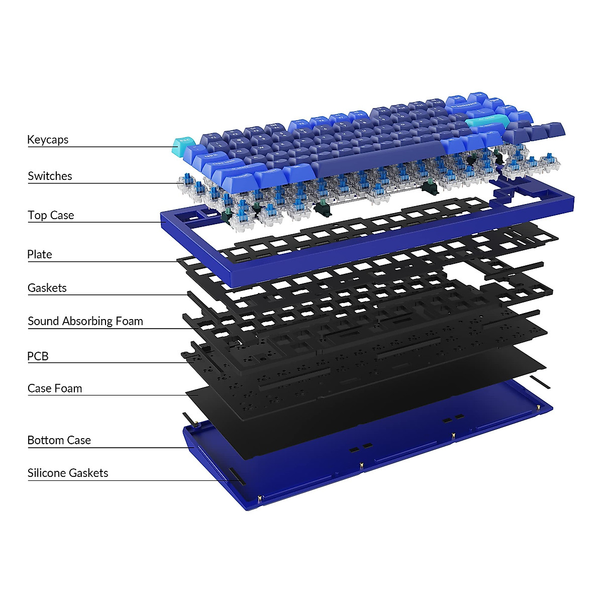 Keychron Q1 RGB Wired Custom Mechanical Keyboard, 75% Layout QMK/VIA Programmable Macro with Hot-swappable Gateron G Pro Red Switch Double Gasket Compatible with Mac Windows Linux (Blue) -Version 2