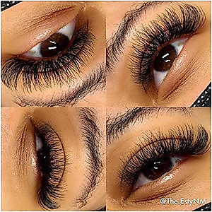 Eyelash Extensions 0.05 C Curl 13mm Lash Extensions Supplies Individual Lashes Premium Silk Volume & Classic Lash Soft Matte Dark Professional Eyelashes Extension (0.05-C-13mm)