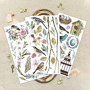 GLOBLELAND 3 Sheets Spring Bird Transfer Stickers Birdcage Rub on Decor Transfers Sticker Decals for Cabinet Wood Door DIY Craft