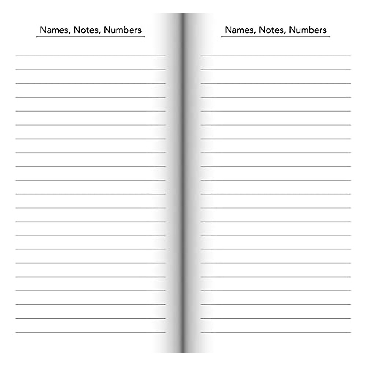 Kitten Cuddles | 2023-2024 3.5 x 6.5 Inch Two Year Monthly Pocket Planner | BrownTrout | Animals Cute Cat Feline