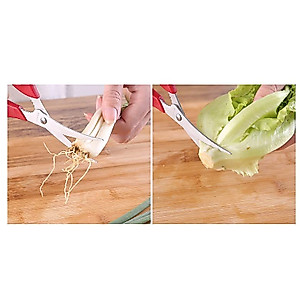 Joyce Lindberg Kitchen Seafood Scissors for Seafood Fish Crab Shrimp Lobster Shears 4 Pcs Red