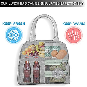 NW Lunch Bag Insulated Lunch Bag Women or Men，Waterproof and Reusable Lunch Box for Women Men OfficeChildrenSchool Picnic，High Capacity Striped Lunch Bags for Women or Men