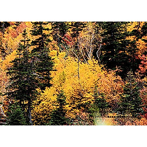 Canon EOS 6D with EF 24-105mm F4L IS USM Lens - International Version (No Warranty)