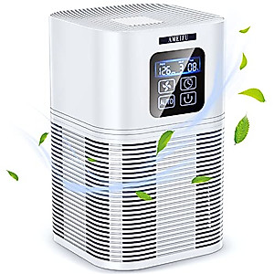 Air Purifiers for Bedroom, Hepa Air Purifiers for Home Large Room Up to 600 Ft² 20db Quiet - for Dust Smoke Dander Hair Smell and Pet Odor, Small Air Cleaner for Office Living Room, Ozone Free