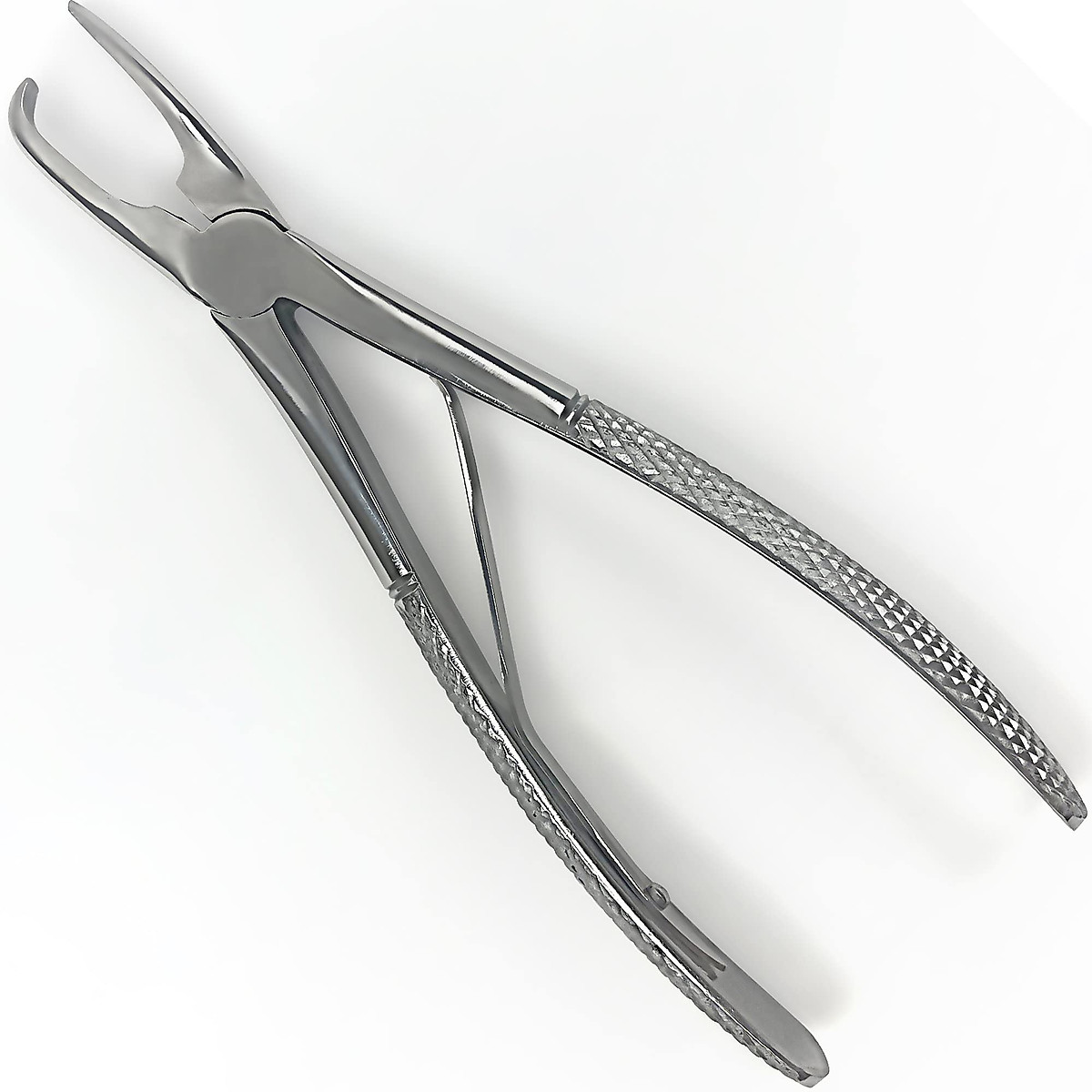 DEXA DENTAL Tartar Forcep Calculus Remover Tooth Scraper, Dental Veterinary Dog PET Canine A+ Quality Instrument, 7 Inches