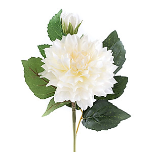 ELITE FLORAL (4 Pack 23" Artificial Dahlia Flowers Faux Dahlia Stem (White), Long Artificial Silk Flowers Realistic Fake Flowers for Wedding, Home Garden, Dining Table Decor, DIY