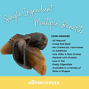 Full-Size Cow Hooves for Dogs | All-Natural Long Lasting Dog Chews | Made from Grass Fed Cattle | Tasty Treat for Oral Hygiene | Fantastic Alternative for Rawhide and Bully Sticks (10 Pack)