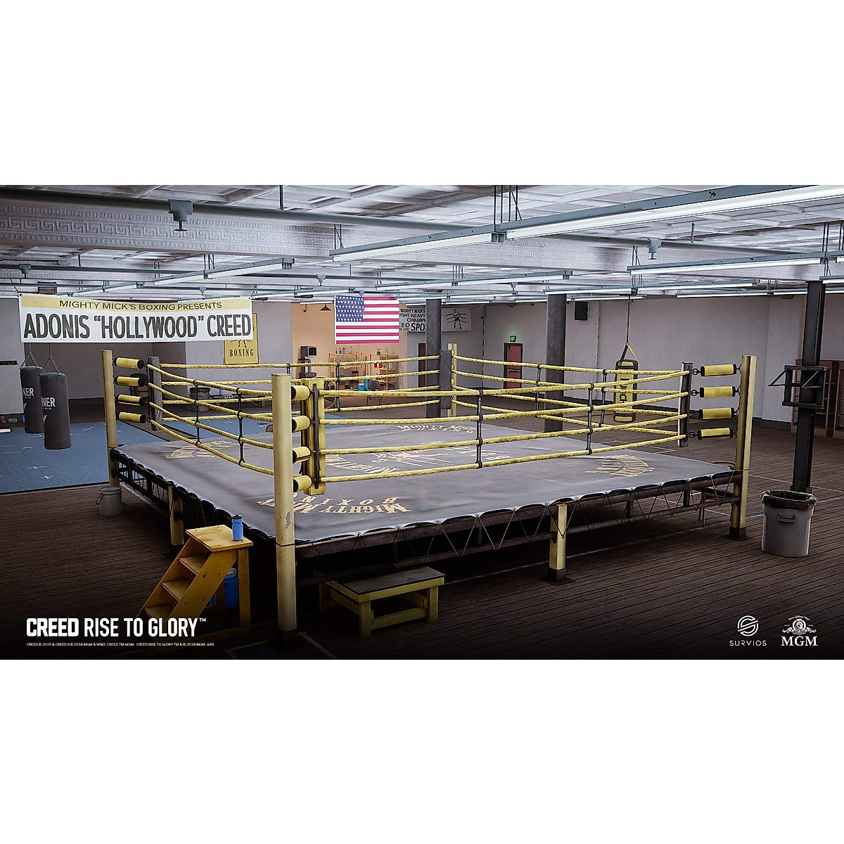 Creed: Rise to Glory PSVR (PS4) UK IMPORT