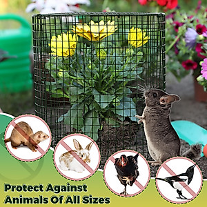 Hiboom 4 Set Garden Plant Protectors from Animals with Stakes, Metal Mesh and Detachable Covers Wire Plant Cage for Keeping Bunny Animals Out, Chicken Wire Plant Cover Garden Protection (Dark Green)