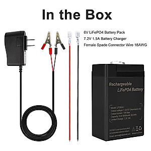 Talentcell 6V 6Ah LiFePO4 Battery Pack LF060A1, 2000 Cycles Rechargeable Lithium Iron Phosphate Battery with Charger