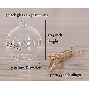 TQVAI 4 Pack Hanging Glass Globe Air Planter Terrarium Vase with 39 inch Sling (Not Included The Plants)