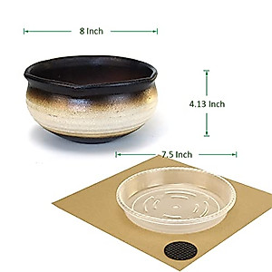 Summer Impressions 8 Inch Glazed Terracotta Plant Pot Round Ceramic Succulent Planter Pot with Drainage and Saucer Cactus Clay Pot Bonsai Pot